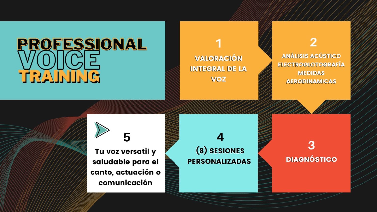 Professional Voice Training - Vocology Center